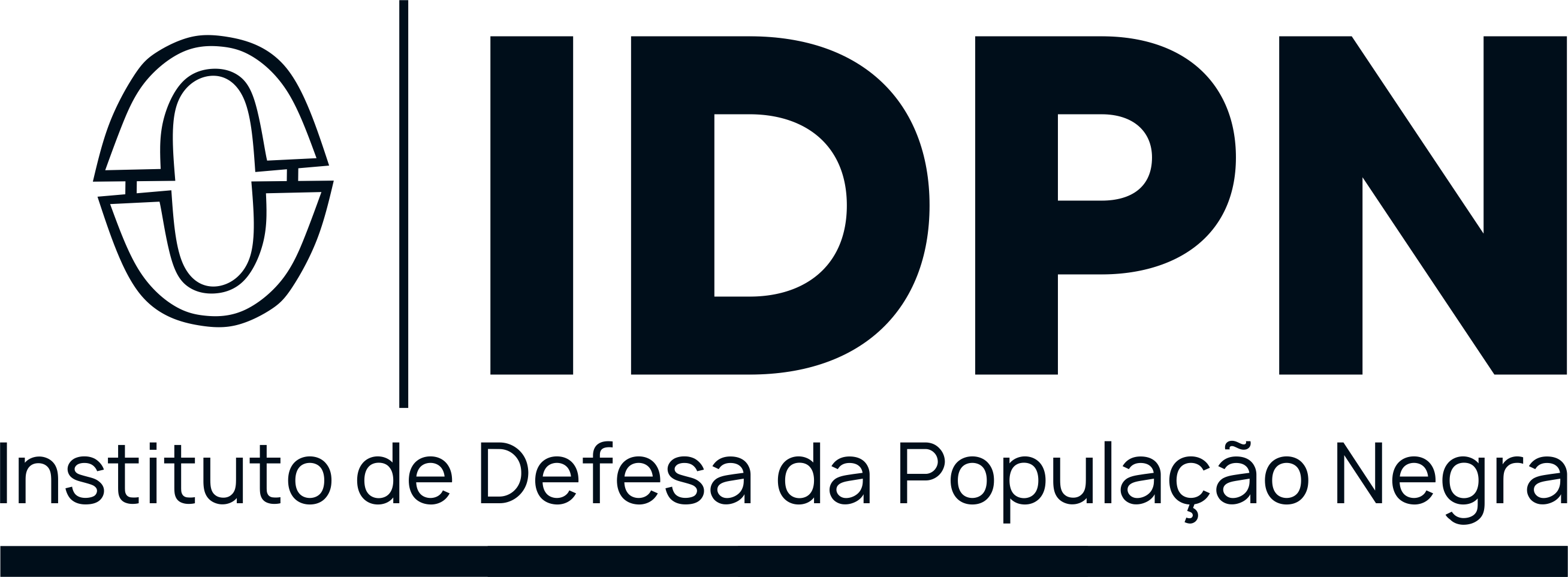 IDPN – Instituto de Defesa da População Negra